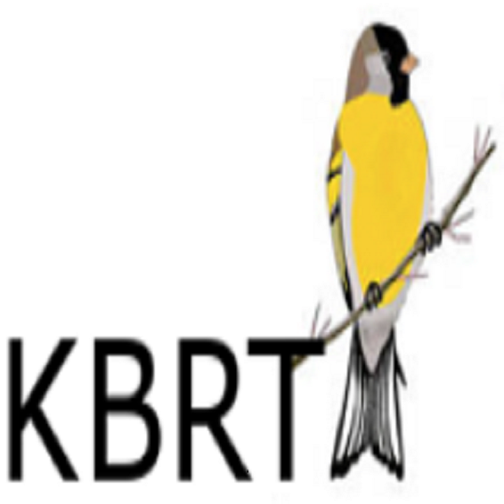 Christmas Lights Vehicle Parade Cavan – Supporting local causes